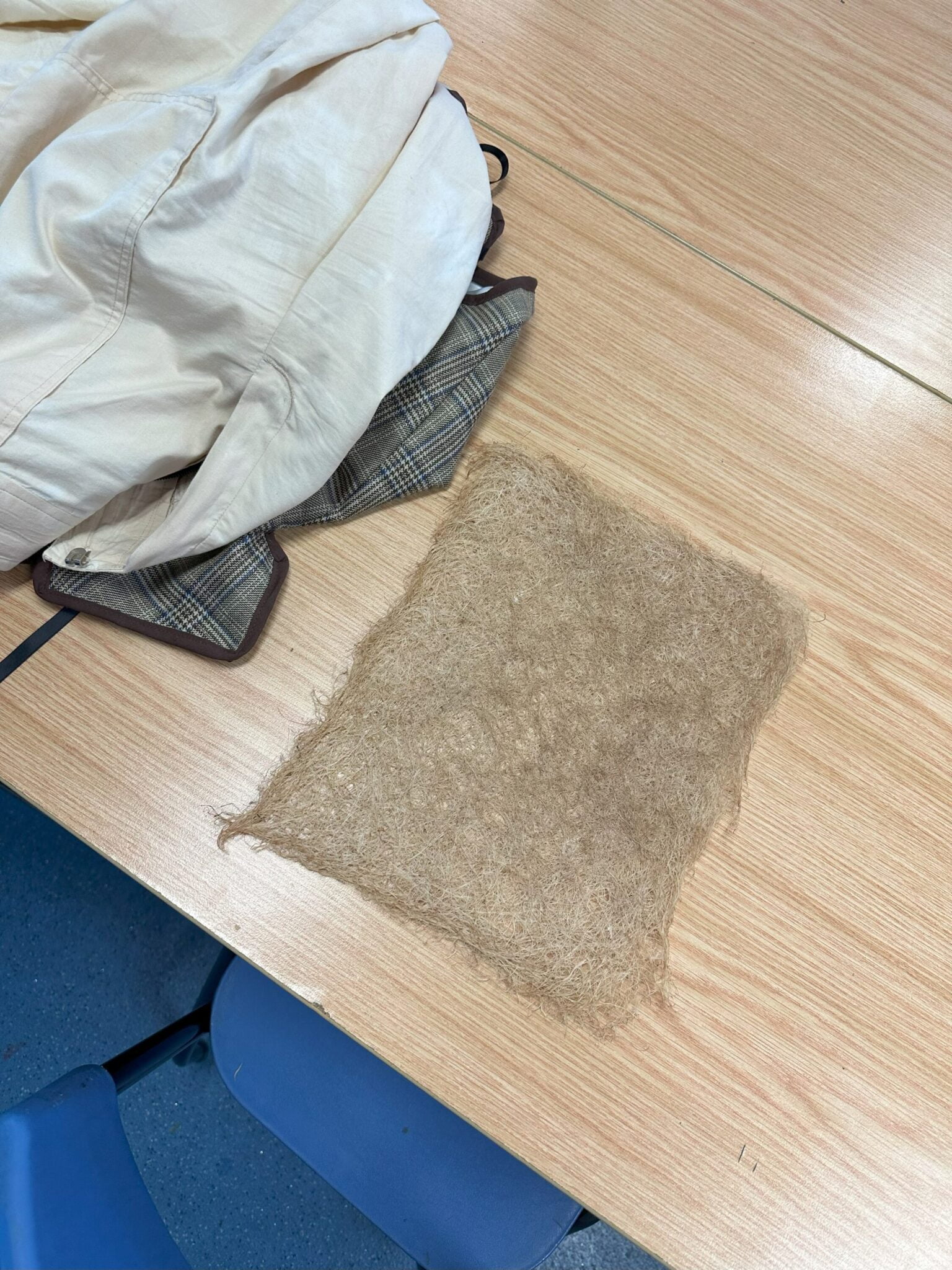 Growing innovation in Year 12 Textiles – St Andrew's Cathedral School